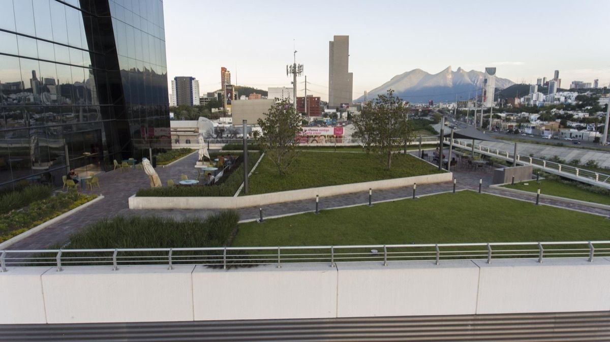 스튜디오입니다 사무실 for Rent in 산 페드로 가자 가르시아, 누에 보 레온 for ₩7,180,000/mo | U4571427