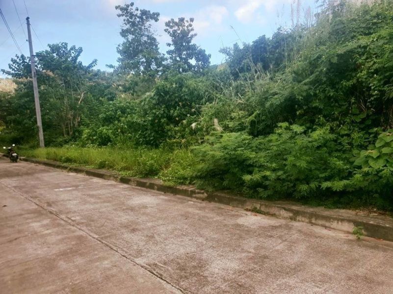 Land for Sale in Consolacion, Central Visayas for ₱1,423,800 | U2429556