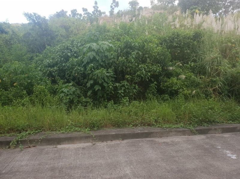 Land for Sale in Consolacion, Central Visayas for ₱1,423,800 | U2429556