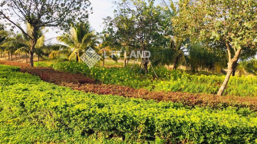 Land for Sale in Hoa Hai, Da Nang for 3,700,000,000 ₫ | U2097698
