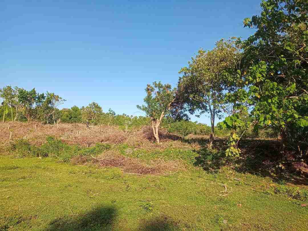 Land for Sale in Cebu City, Central Visayas for ₱350,000 | U2253895
