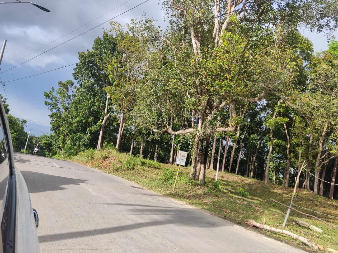 Land for Sale in Tagbilaran City, Central Visayas for ₱18,634,000 ...