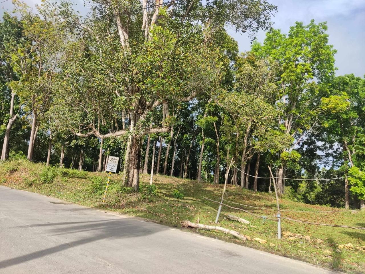 Land for Sale in Tagbilaran City, Central Visayas for ₱18,634,000 ...