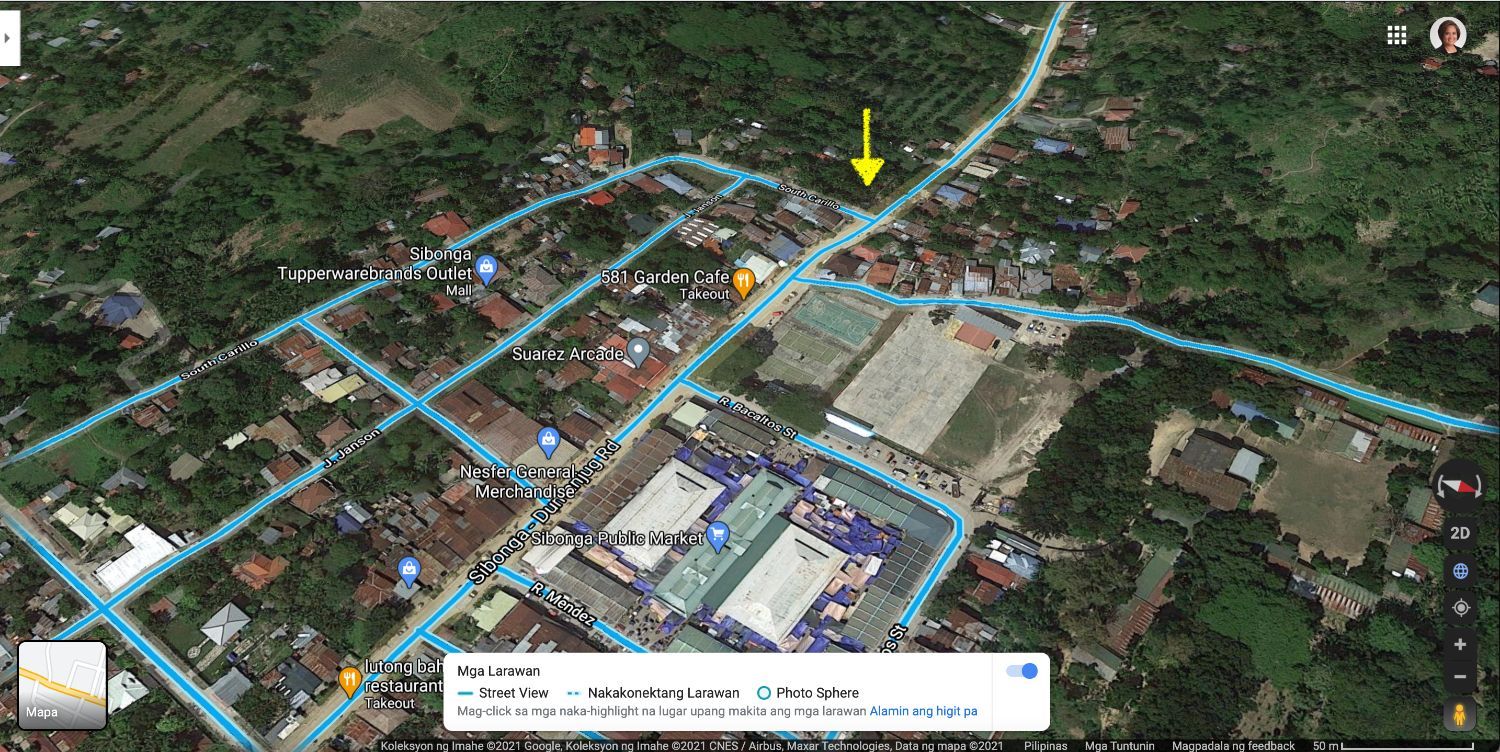 Land for Sale in Sibonga, Central Visayas for ₱9,000,000 | U2602962