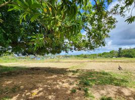 All properties for sale in Jala-Jala - AsiaVillas