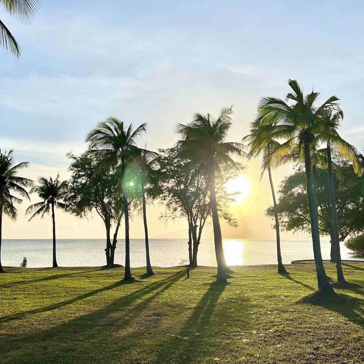 Land for Sale in San Juan, Calabarzon for ₱7,420,000 | U2381679