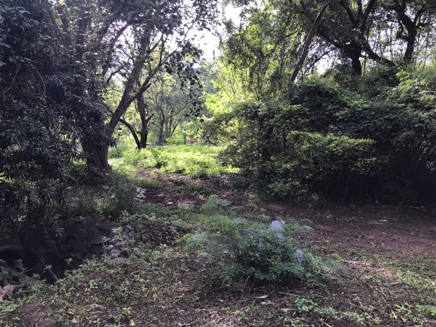 Land for sale in Klang Dong, Nakhon Ratchasima | Dot Property