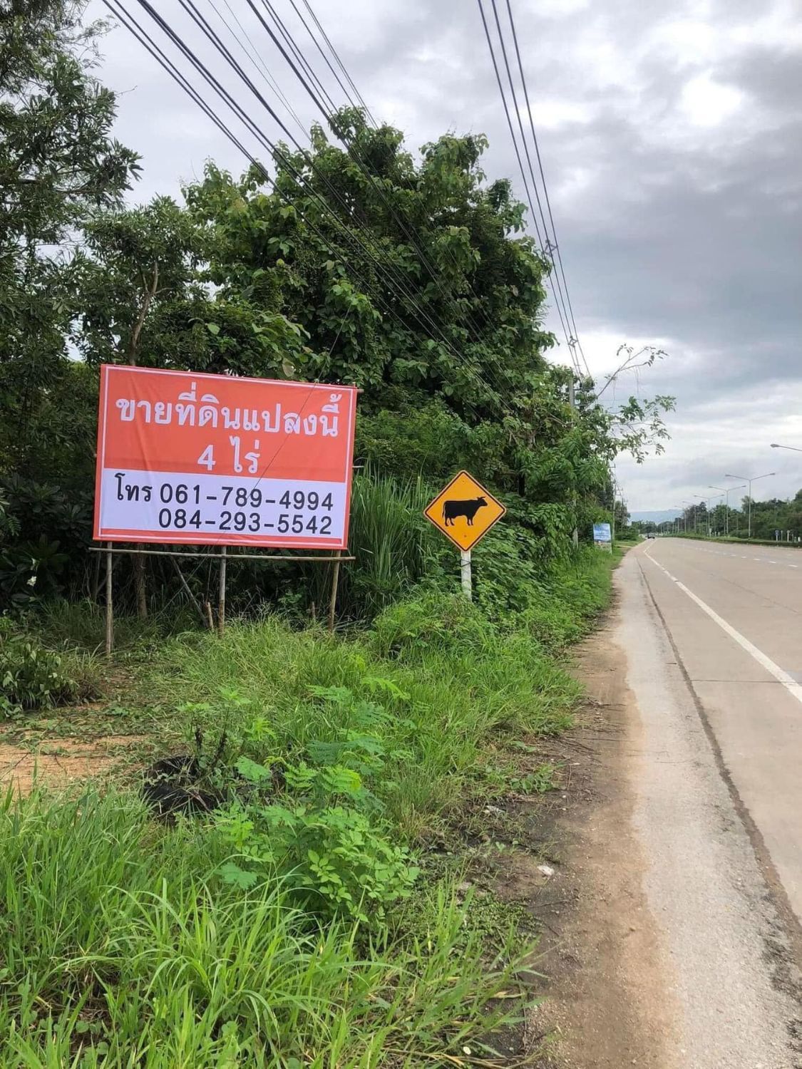 Land for sale in Ban Pao, Lampang | Dot Property