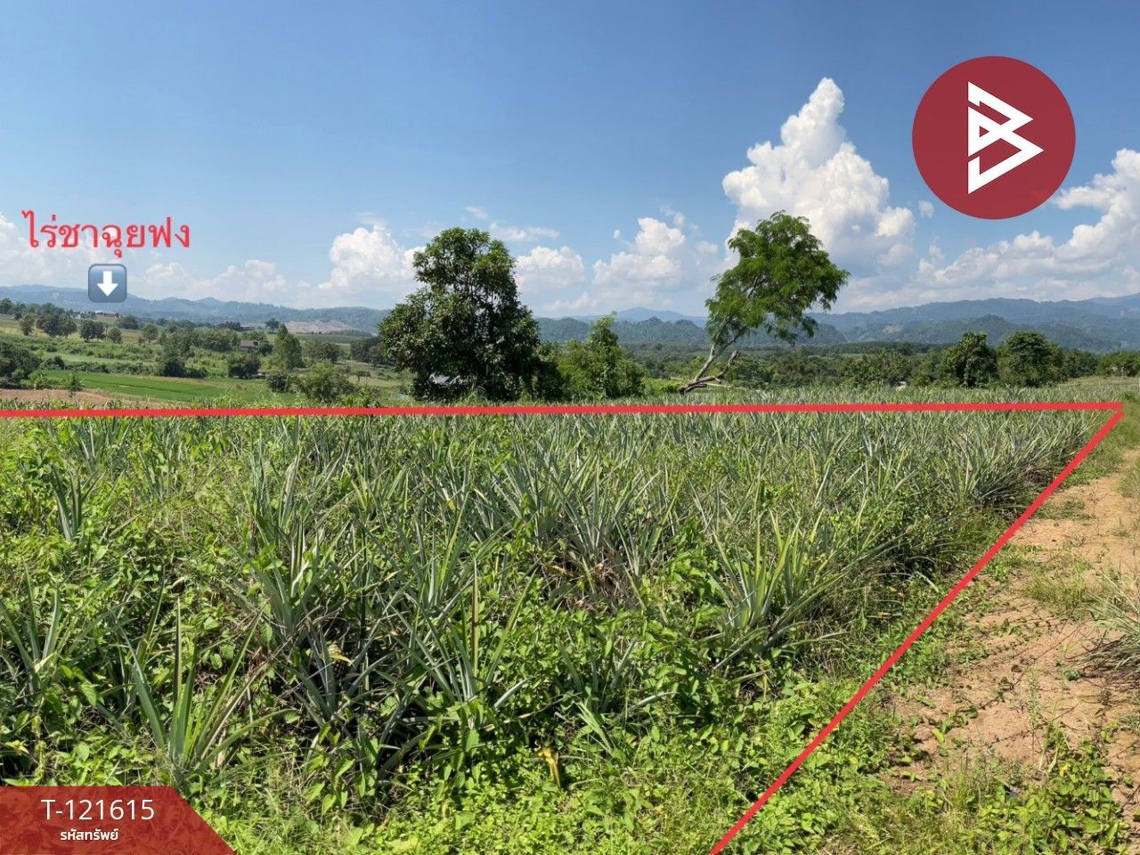 Land for sale in Si Kham, Chiang Rai | Dot Property