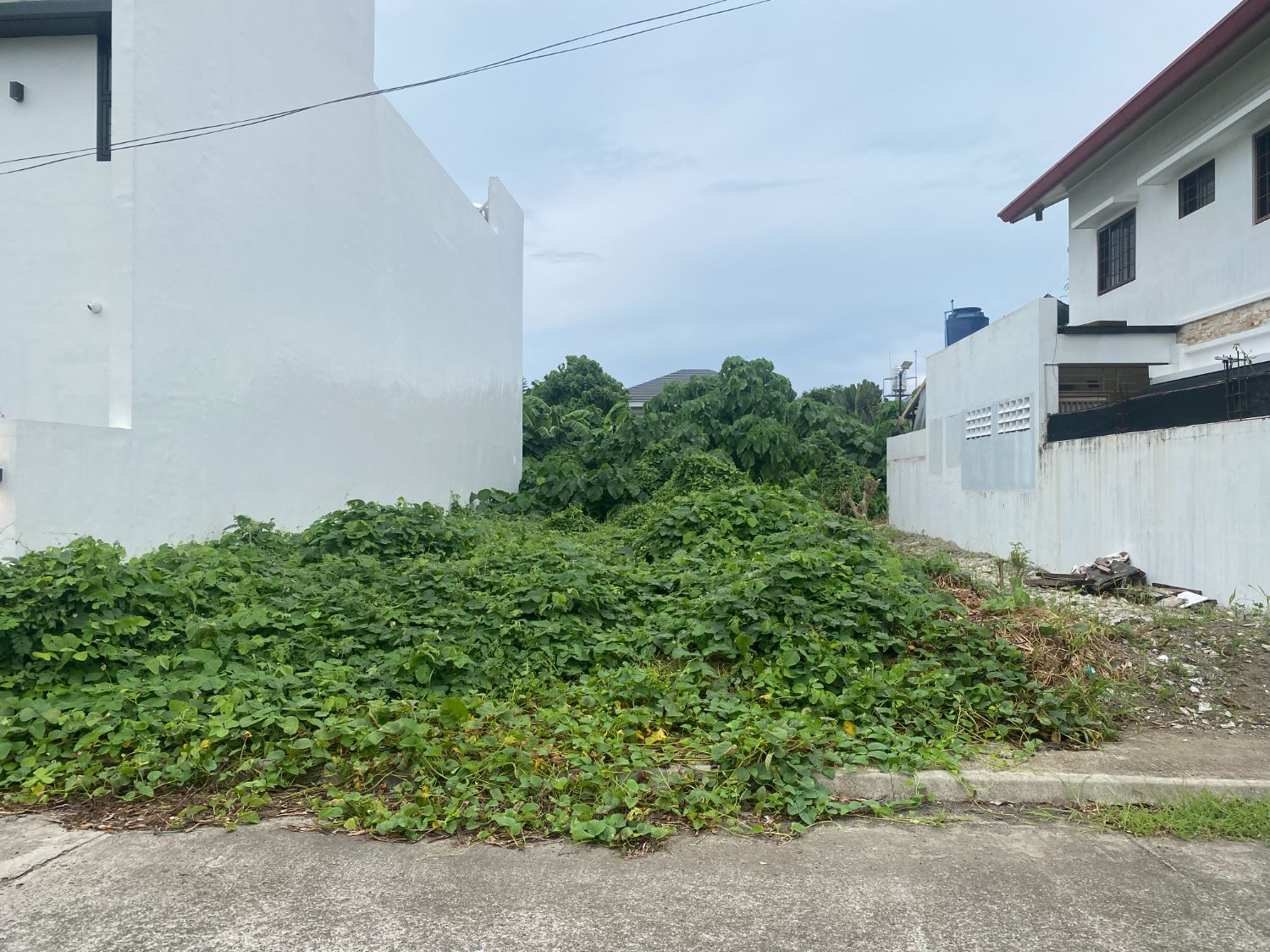 Land for Sale in Iloilo City, Western Visayas for ₱2,400,000 | U2666538