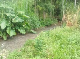 Alle zum Verkauf stehenden Immobilien nahe Reserva Natural Cascadas del ...