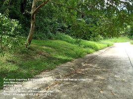All properties for sale in Angono - AsiaVillas