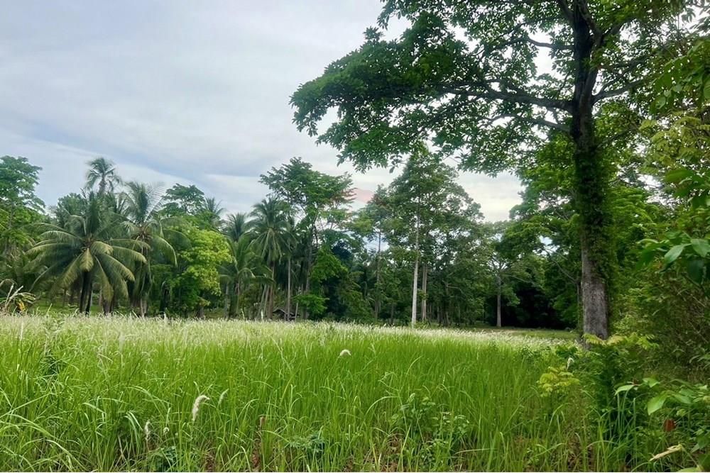 Land for sale in Taling Ngam, Surat Thani | Dot Property