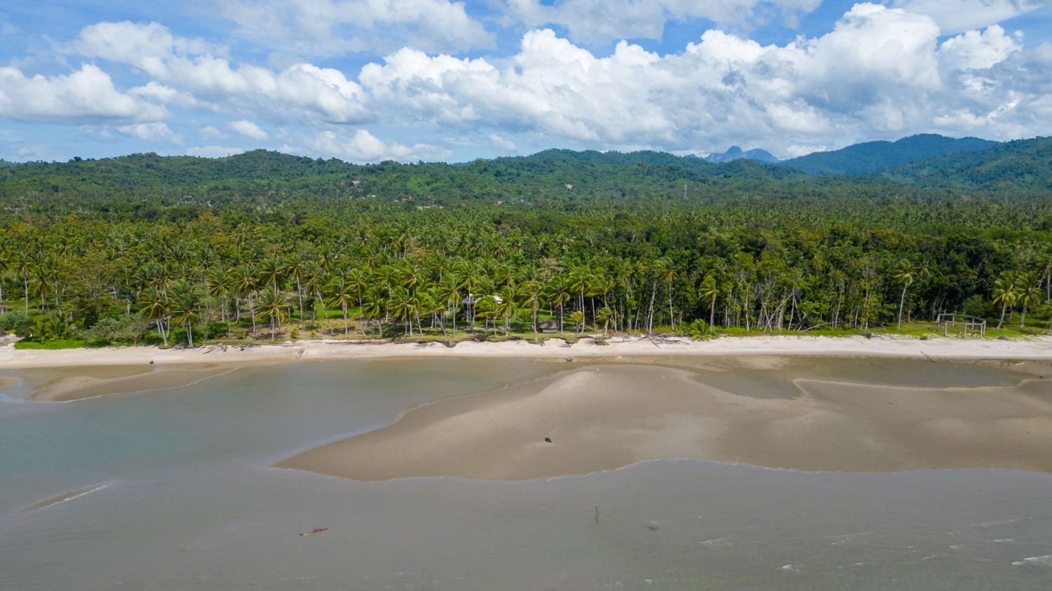 Land for Sale in Puerto Princesa City, Mimaropa for $1,340,000 | U2205597