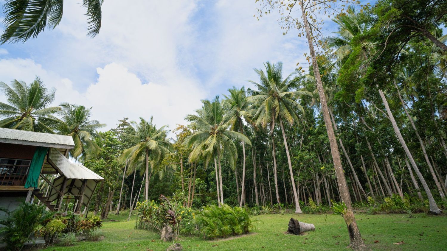 Land for Sale in Puerto Princesa City, Mimaropa for $1,340,000 | U2205597