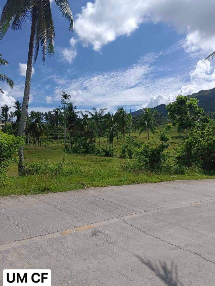 Land for Sale in Barili, Central Visayas for ₱31,824,000 | U2719600