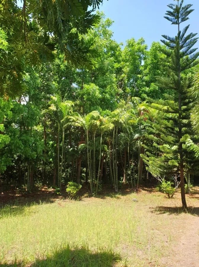 Land for Sale in Calamba City, Calabarzon for ₱159,500,000 | U2580220