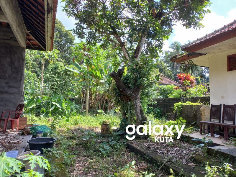 3 Bedroom House for Sale in Tabanan, Bali for Rp1,050,000,000 | U2958262