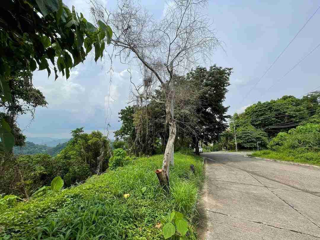 Land for Sale in Cebu City, Central Visayas for ₱70,265,000 | U2370571